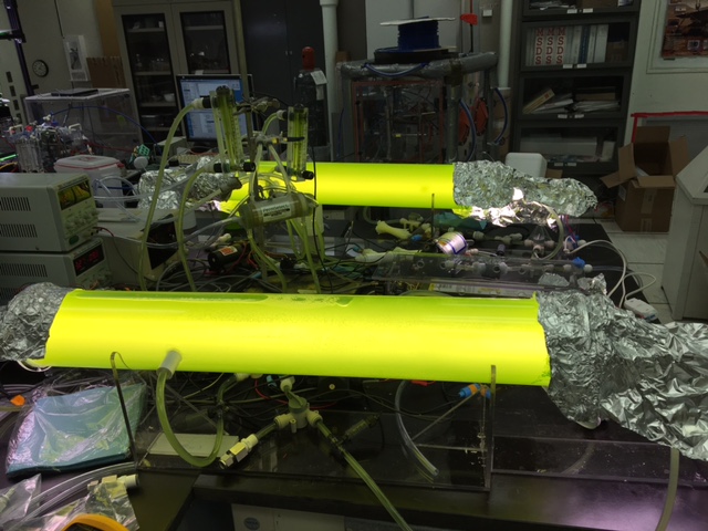 A Day in the Life: Bioastronautics student Emily Matula – Science Buffs