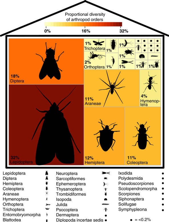 Scientists across the country map insects inside our homes: most use ...