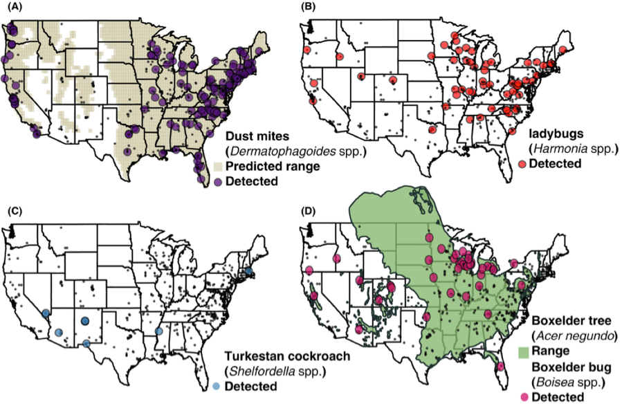 Scientists across the country map insects inside our homes: most use ...