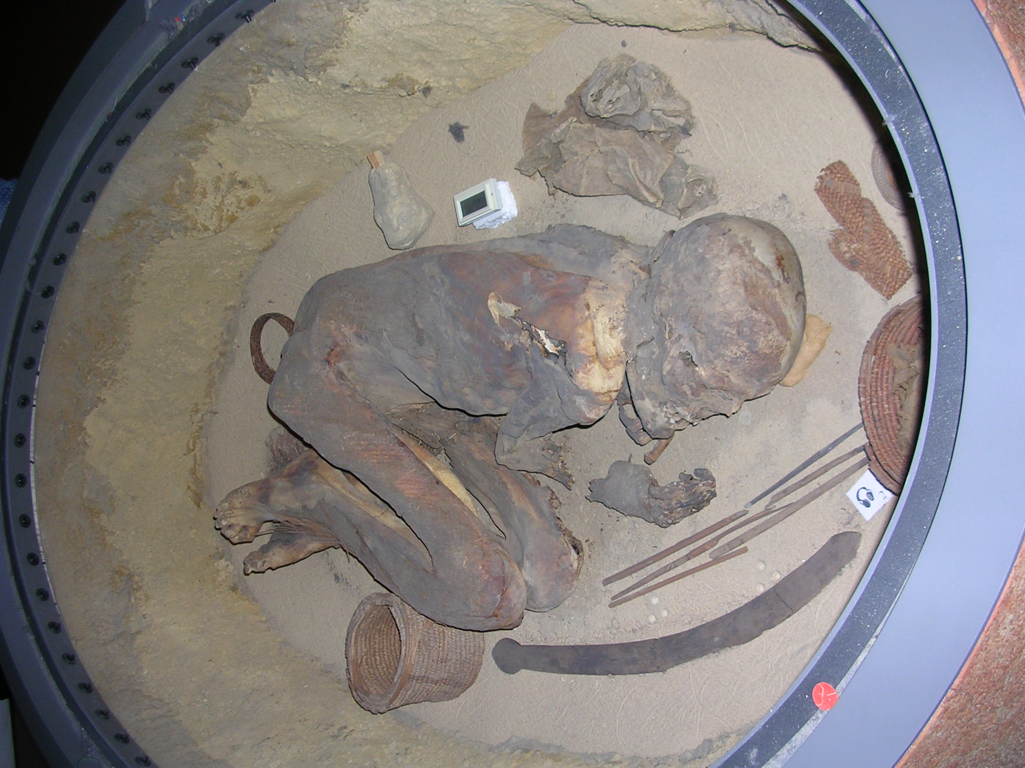 What Made ‘Fred’ a Mummy? – Science Buffs